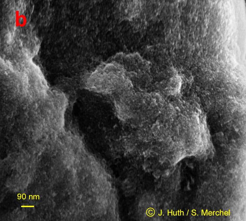 Die Mikroskopaufnahmen der isolierten Minerale zeigt